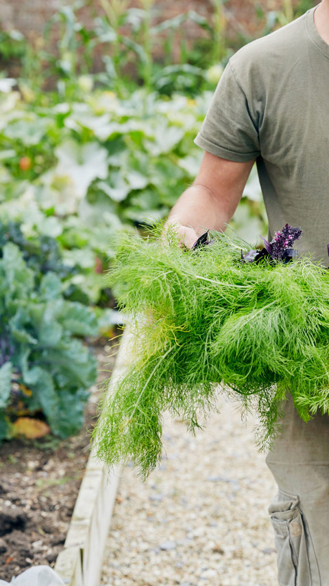 25 Mile Menu & Food - Restaurant with Rooms at THE PIG Hotel - THE PIG