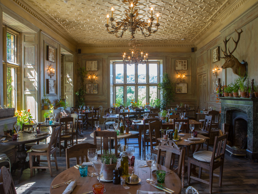 Inside THE PIG's | Gallery - THE PIG