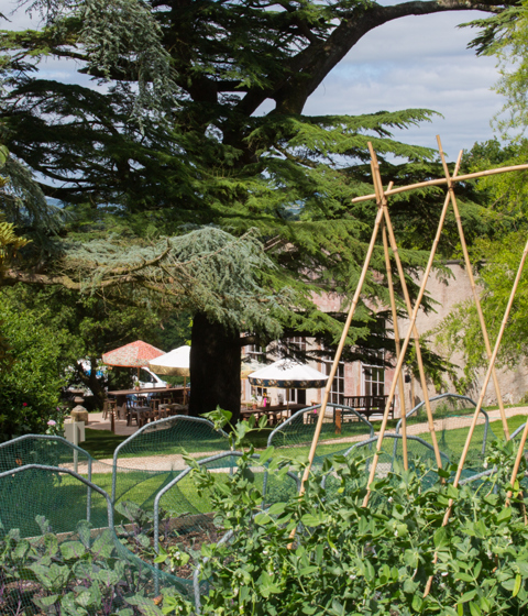 REDUCED VAT FOR THE HOSPITALITY INDUSTRY - THE PIG