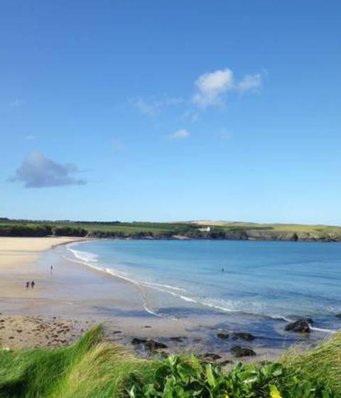 Here it is… THE PIG-at Harlyn Bay - THE PIG