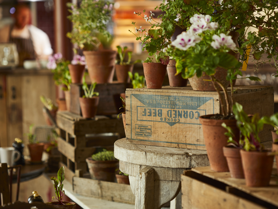 THE PIG - at Bridge Place, Hotel & Restaurant in Canterbury - THE PIG