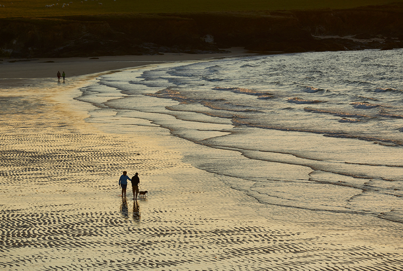 Insider Guide to spring in Cornwall - THE PIG