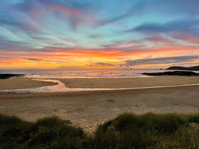 Insider Guide to spring in Cornwall - THE PIG