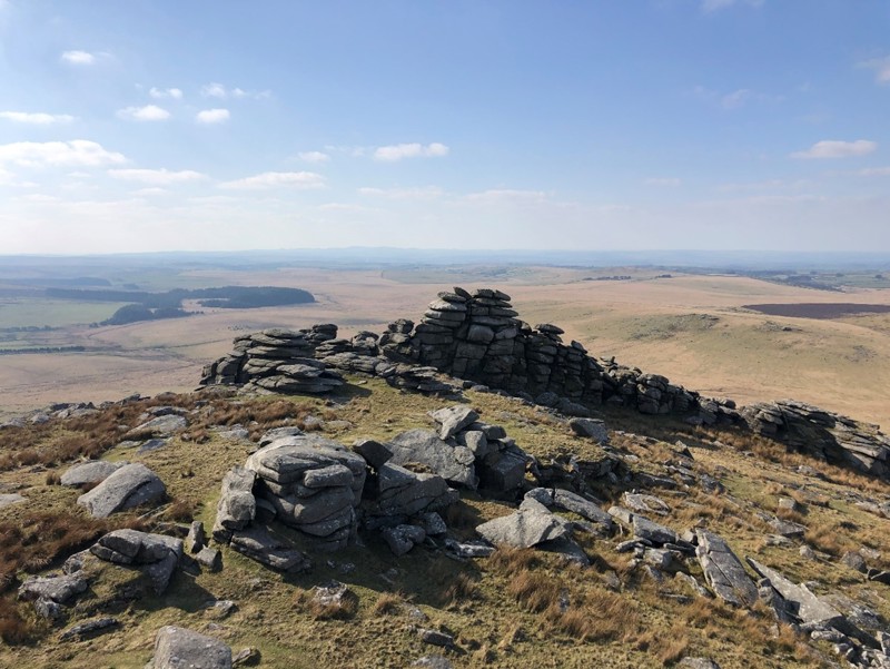 Insider Guide to spring in Cornwall - THE PIG