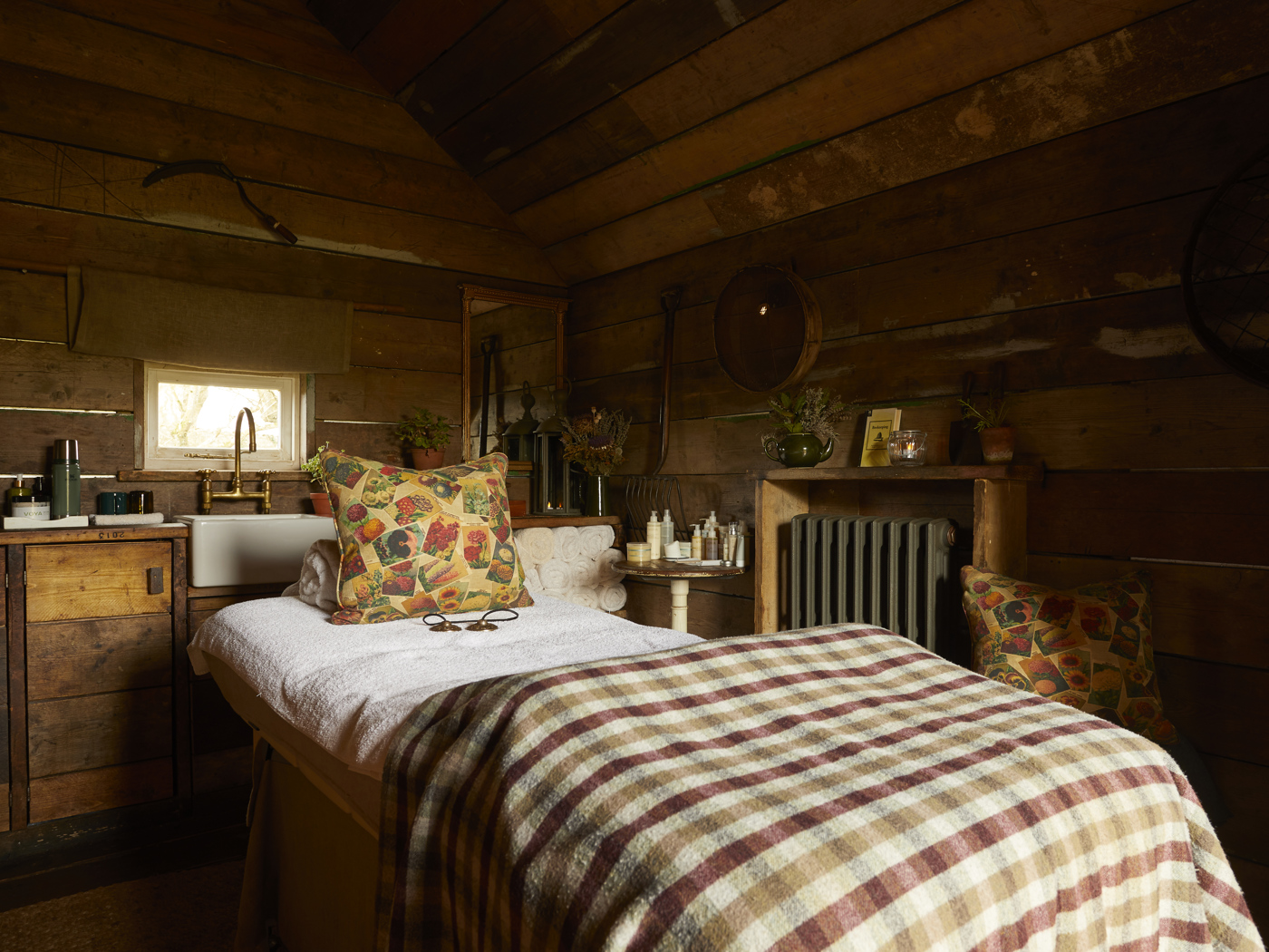 Explore Our PIGs - THE PIG