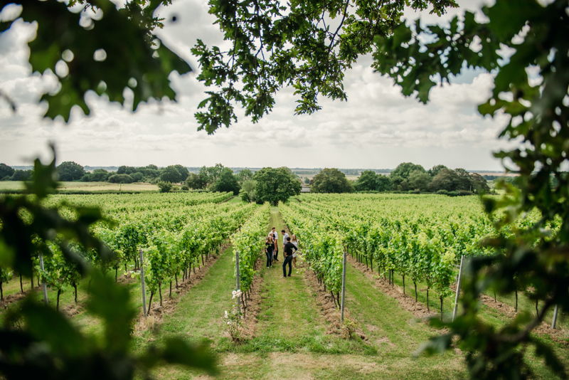 Filling our summer days with English wine from our friends over in Kent ...