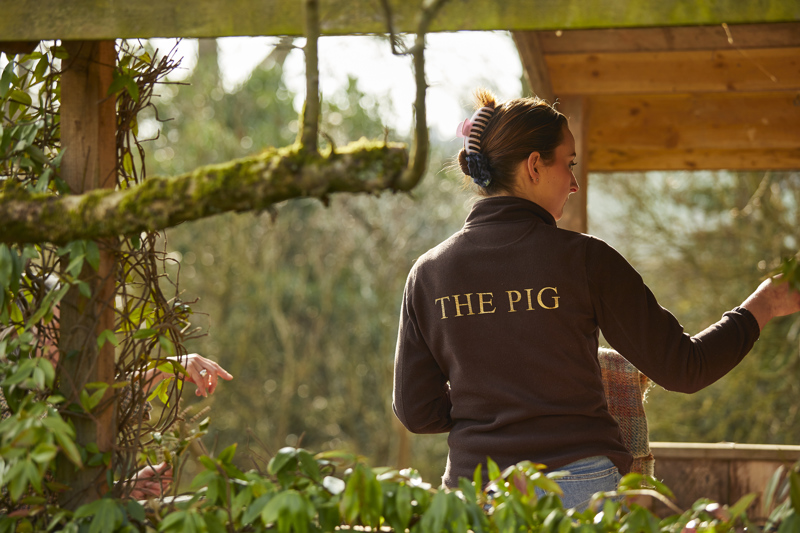 Herbal Healing - THE PIG