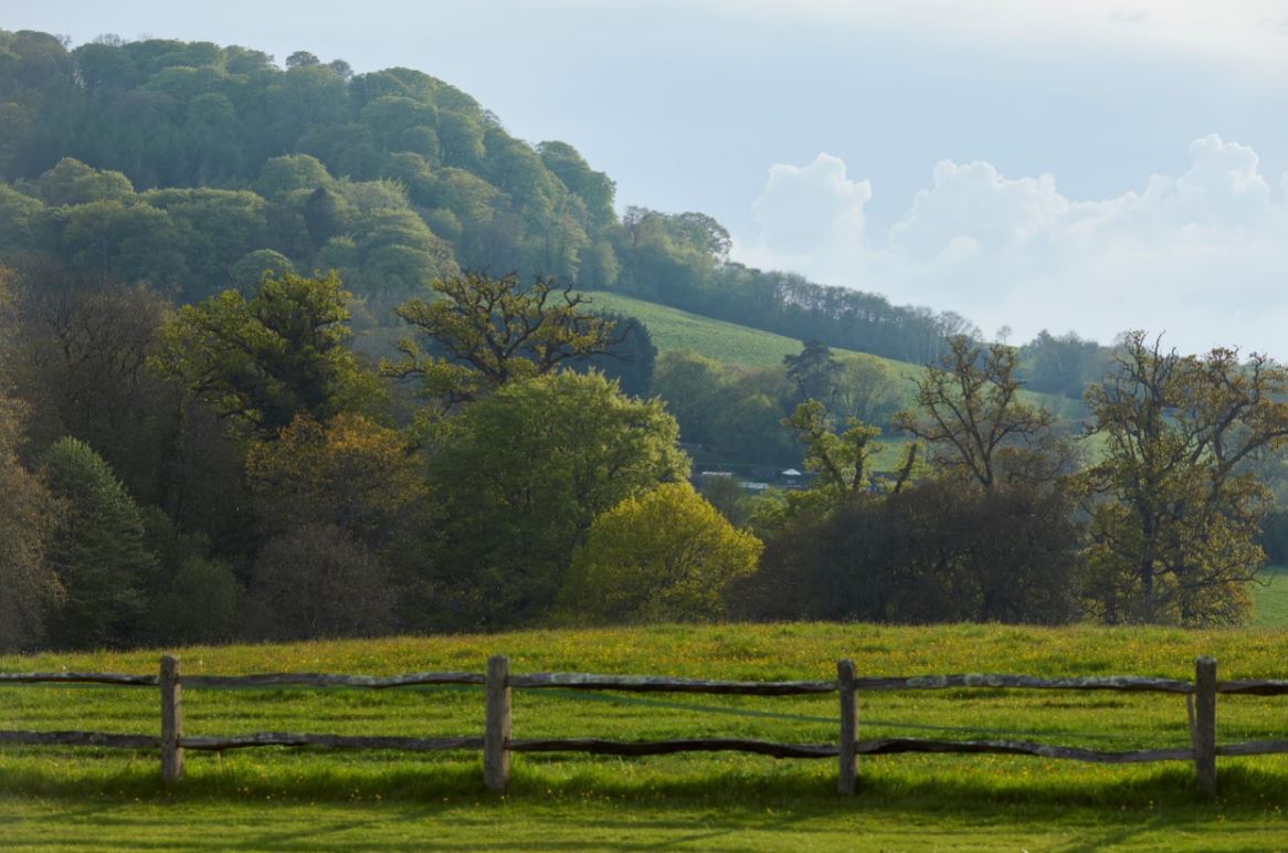 THE PIG - at Combe, Devon Hotel & Restaurant