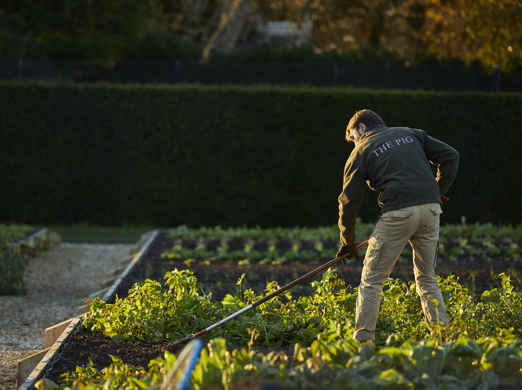 25 Mile Menu & Food - Restaurant with Rooms at THE PIG Hotel - THE PIG