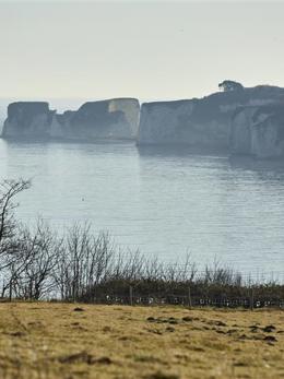 25 Mile Menu & Food - Restaurant with Rooms at THE PIG Hotel - THE PIG