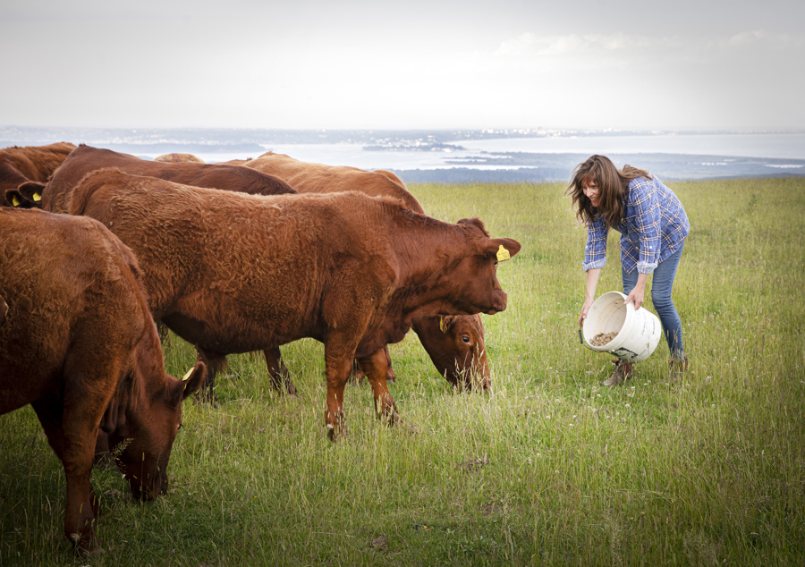 25 Mile Menu & Food - Restaurant with Rooms at THE PIG Hotel - THE PIG