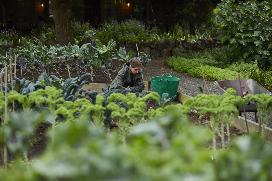 25 Mile Menu & Food - Restaurant with Rooms at THE PIG Hotel - THE PIG