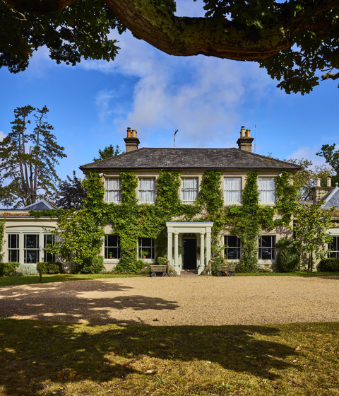 Explore THE PIG - THE PIG