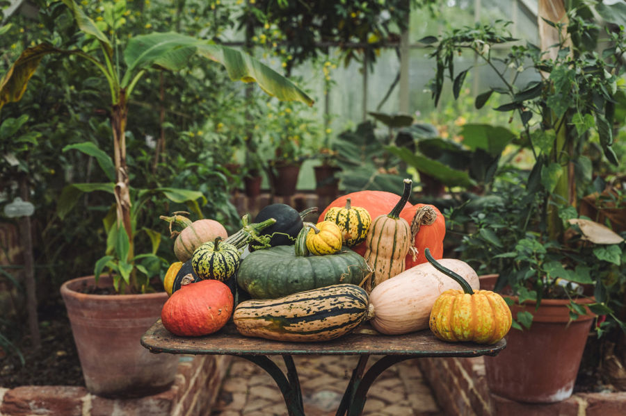 Kitchen Garden Restaurant in the New Forest - THE PIG - THE PIG