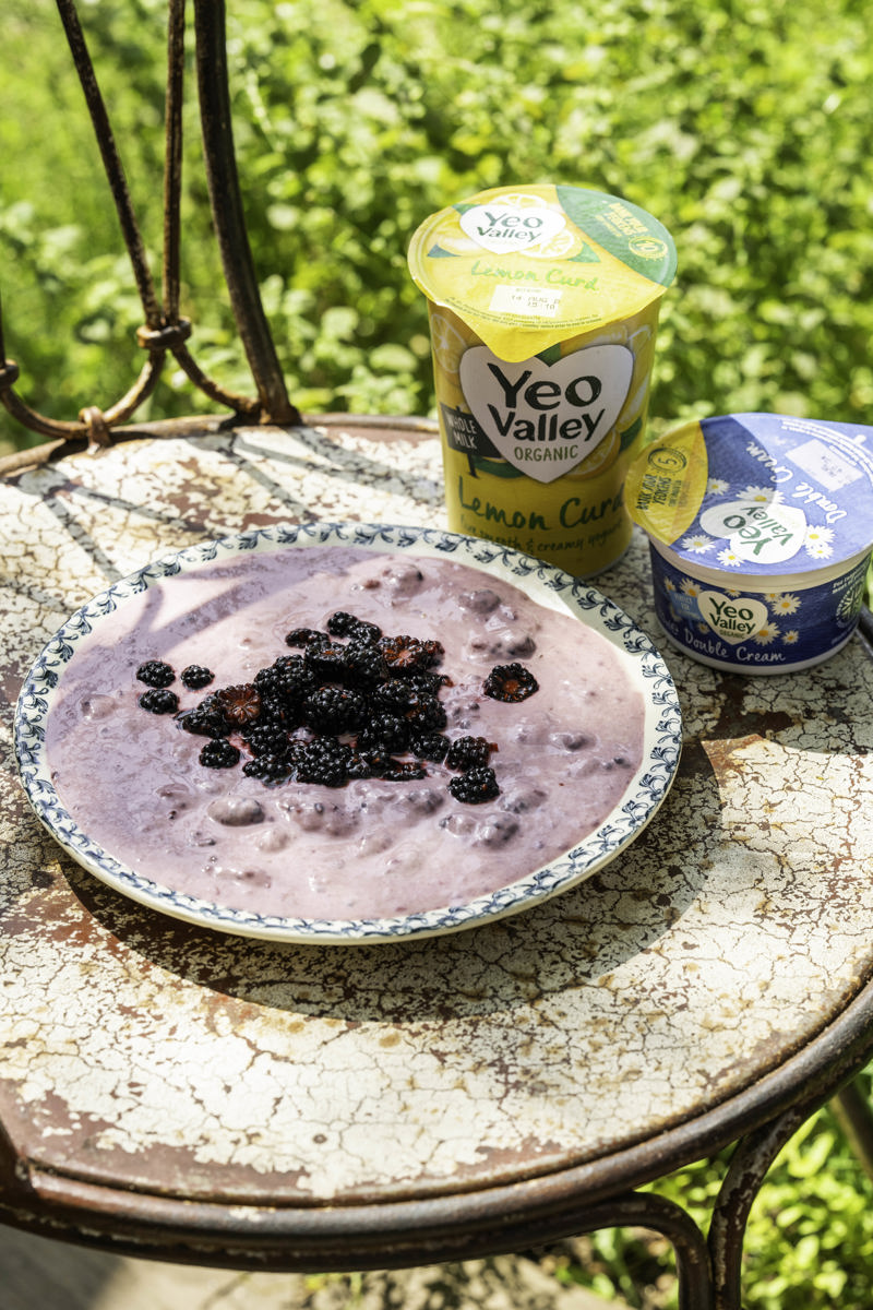 Blackberry & Lemon Curd Yogurt Fool Recipe - THE PIG