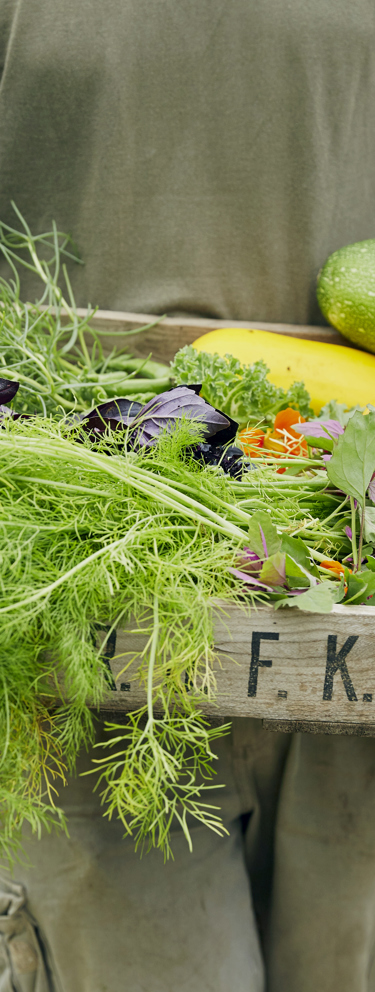 Kitchen Garden Restaurant in the New Forest - THE PIG - THE PIG